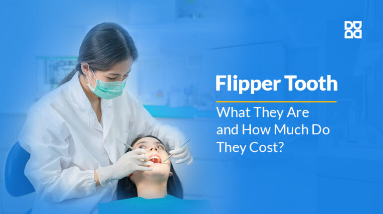 Flipper Tooth: What They Are and How Much Do They Cost?