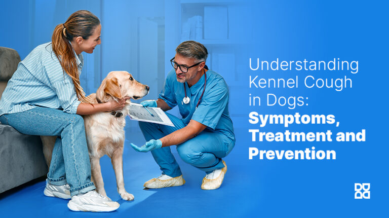 Kennel Cough in Dogs: Symptoms, Treatment and Prevention