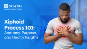 Xiphoid Process 101: Anatomy, Purpose, and Health Insights